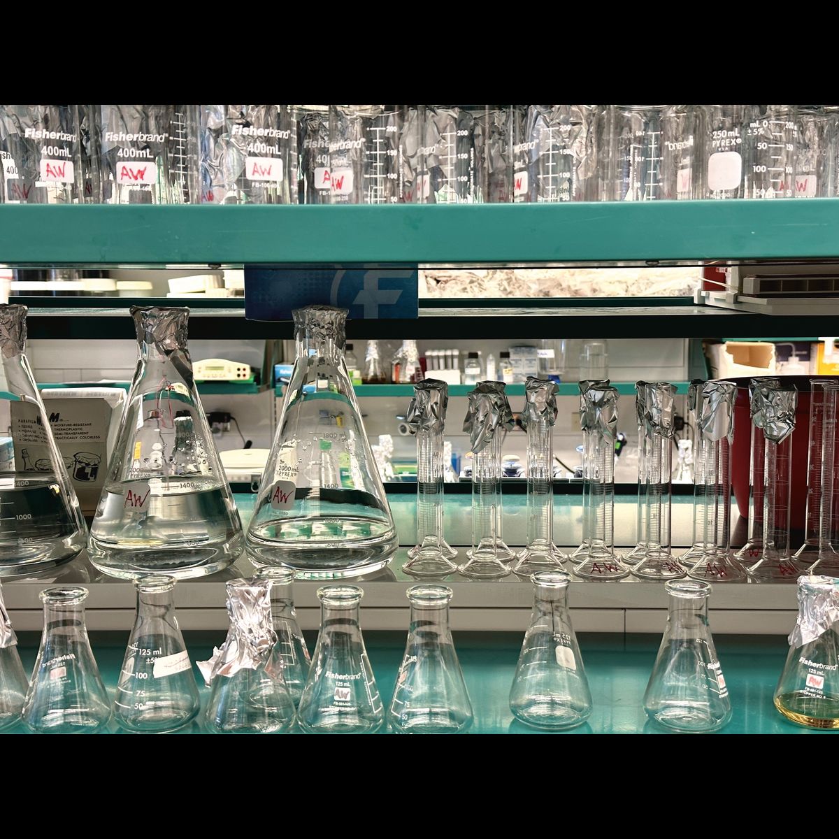 FOCUS (FC) - Science