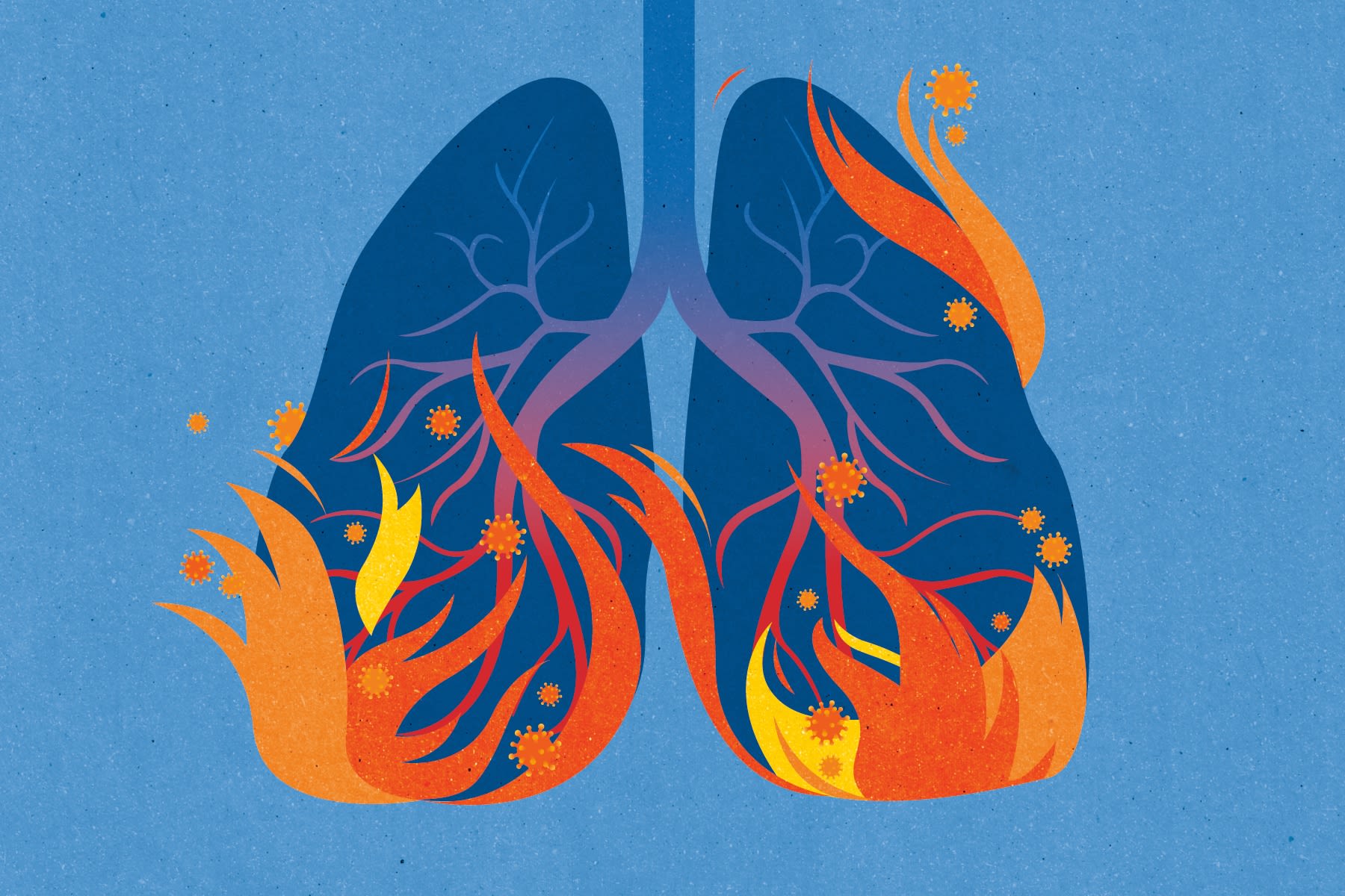 FOCUS (FC) - Science