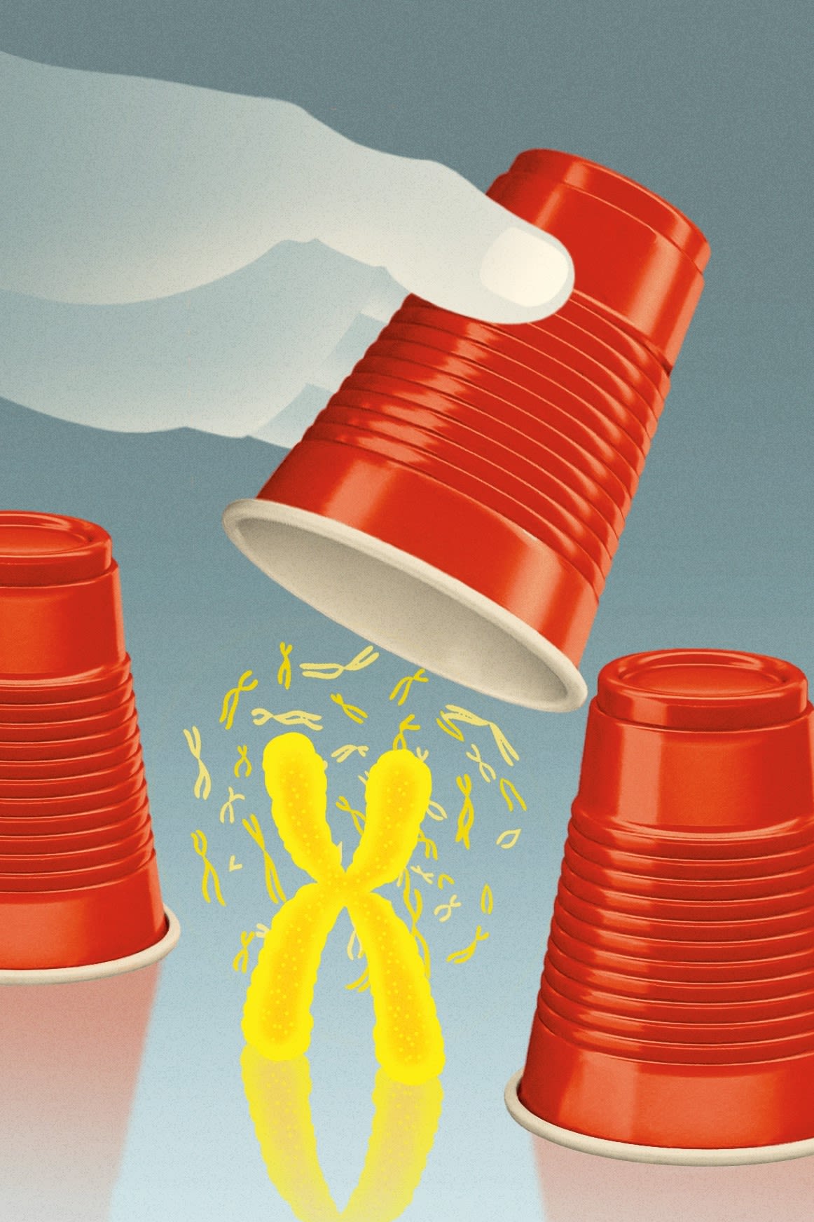 FOCUS (FC) - Science